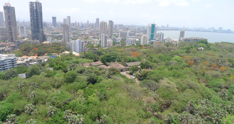 Malabar Hill Mumbai Timings (History, Entry Fee, Images & Information ...