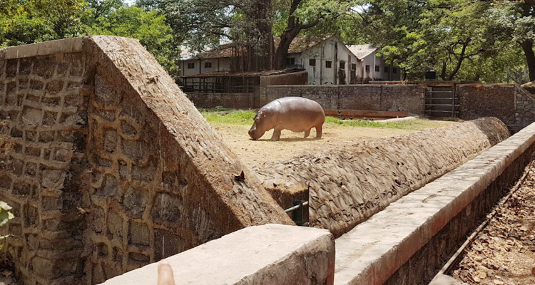 Mumbai Zoo / Veer Mata Jijabai Bhonsale Park / Byculla Mumbai (History ...